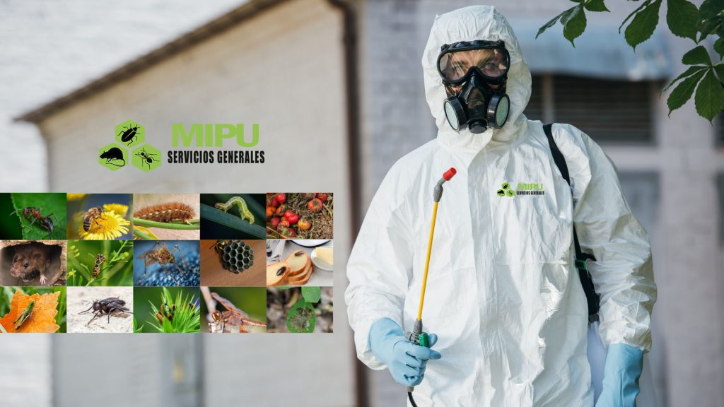 Nosotros - Servicios de control de plagas - MIPU